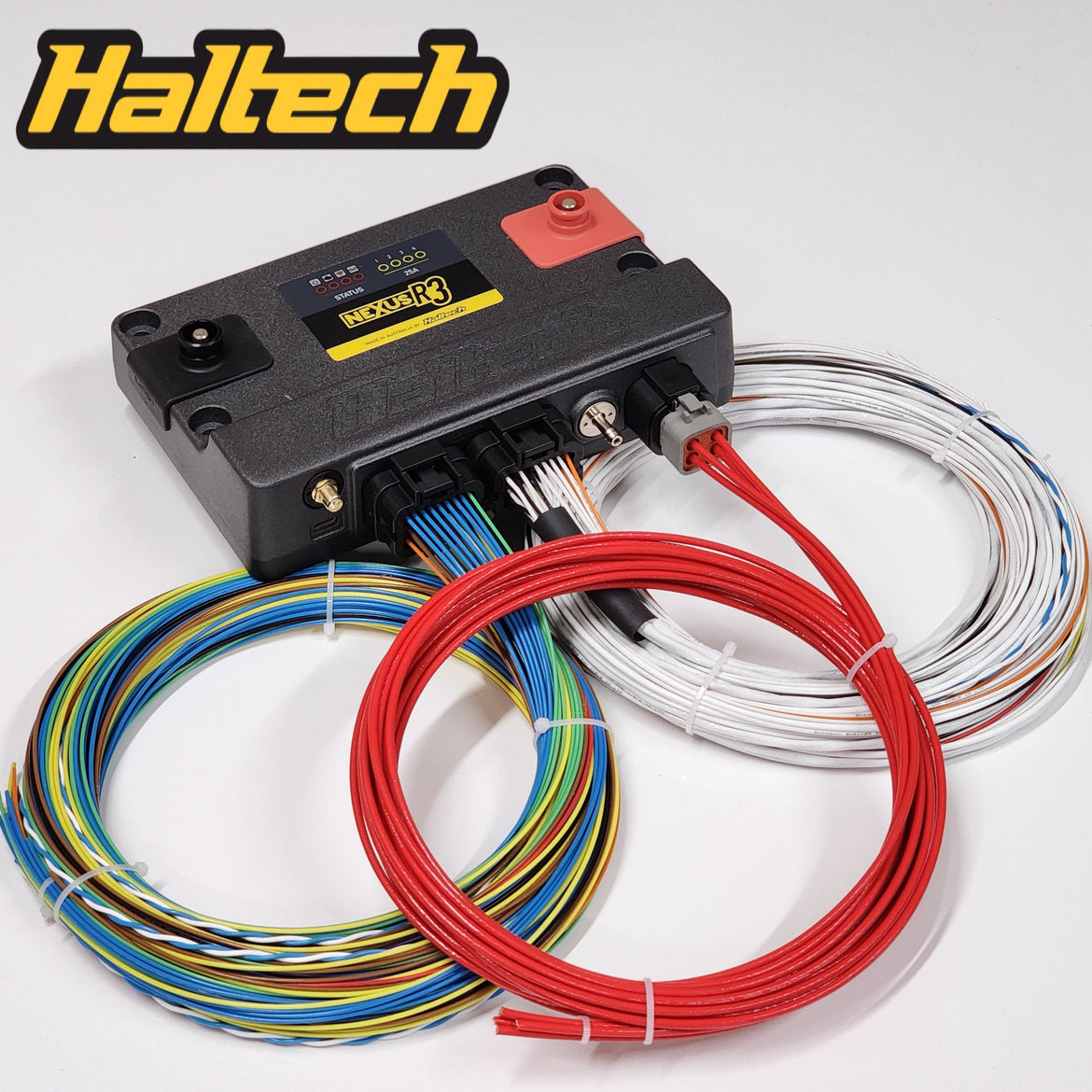 Haltech Motorsport Grade Wiring Harnesses – Hard Wired Motorsports